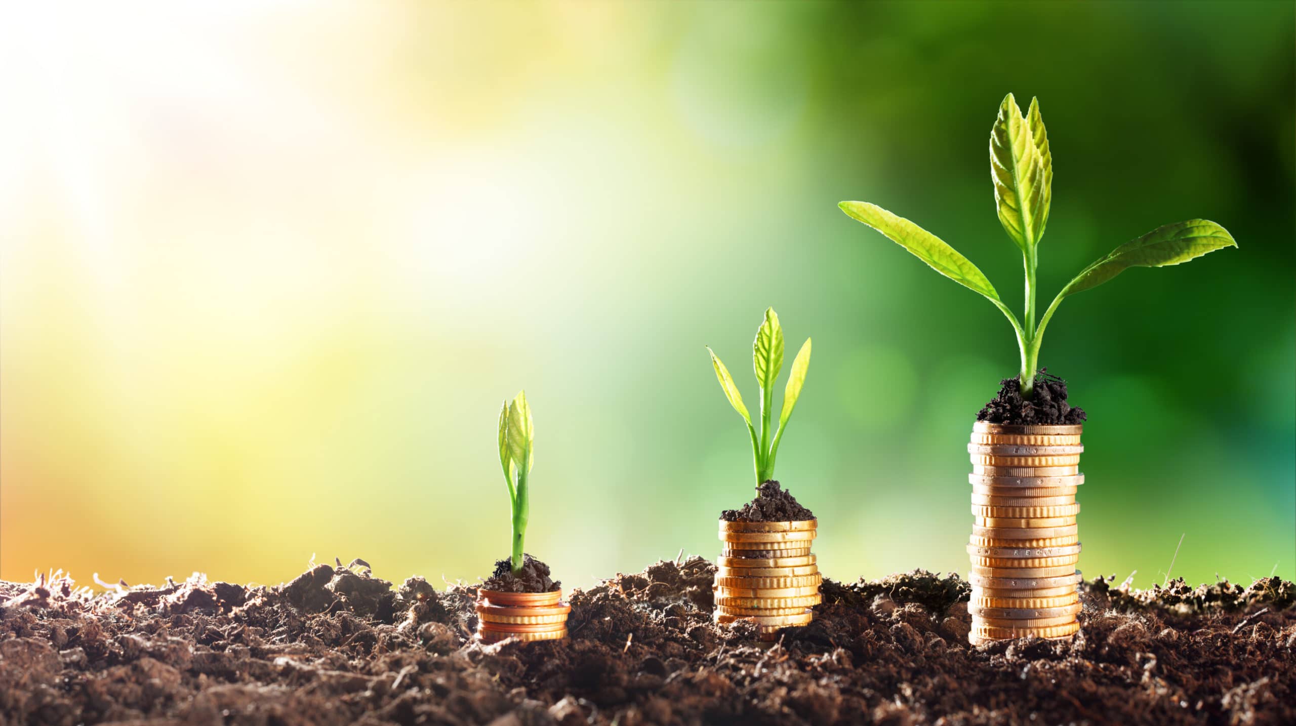 Consumer Portfolio Services doubles credit facility to $200M - Auto ...