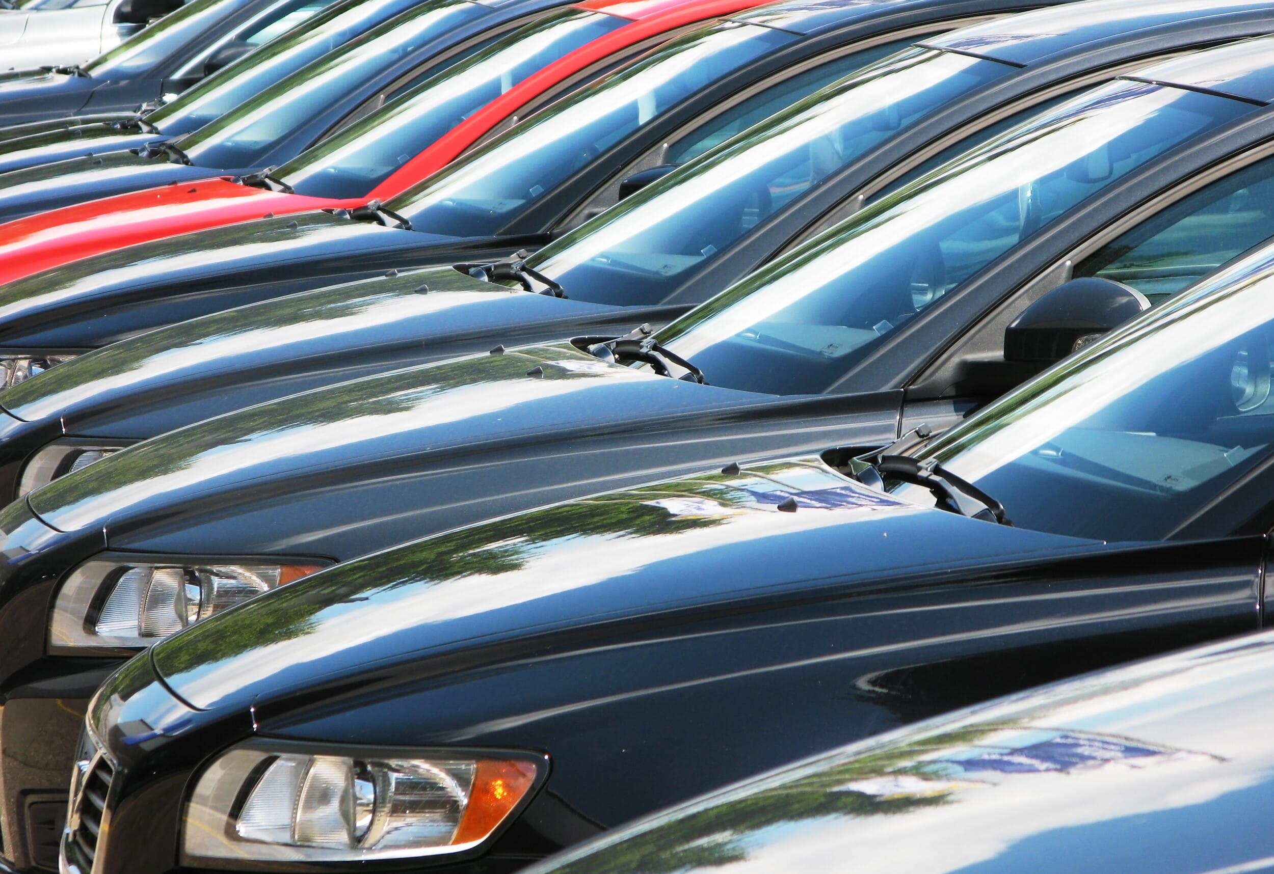 First Business funds $10M floorplan facility for Florida dealership ...