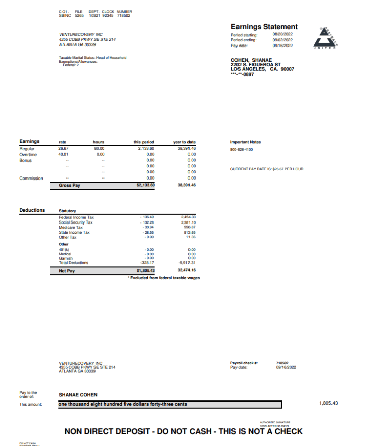 Paystub 1 | Auto Finance News